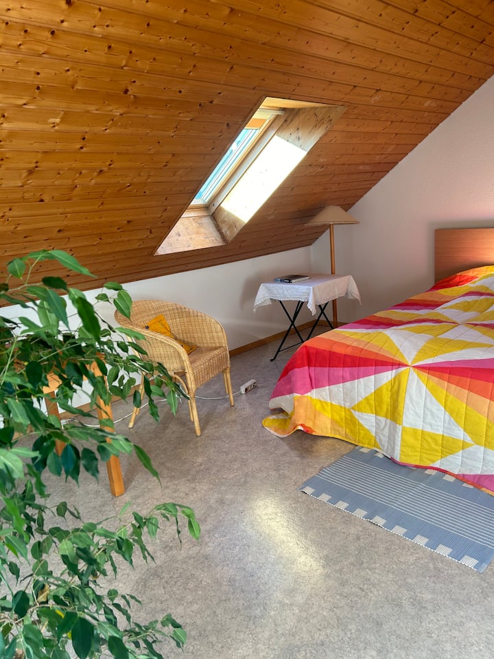 Großes Zimmer Dreiländereck - Lörrach