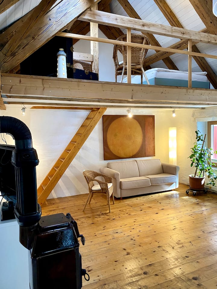 Loft-wohnung Mit Charme - Lucerne