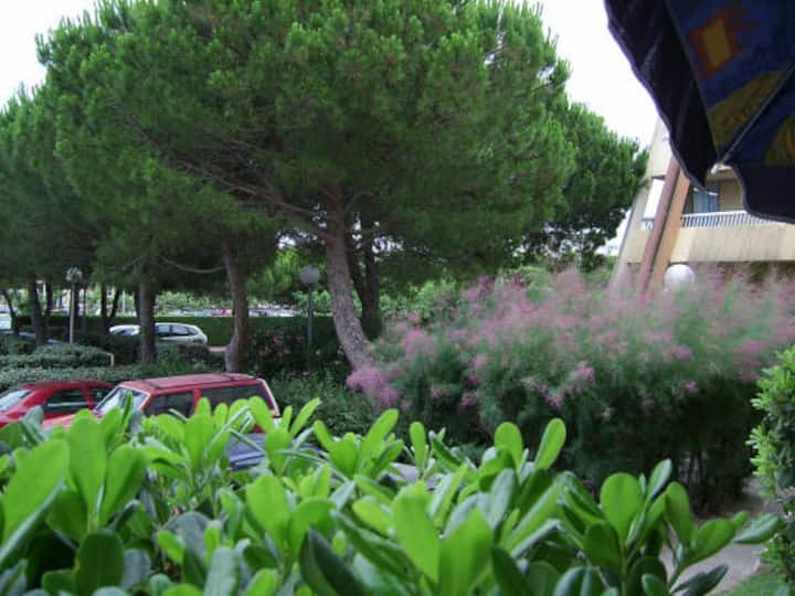 Location Villégiature Mer - Port Camargue