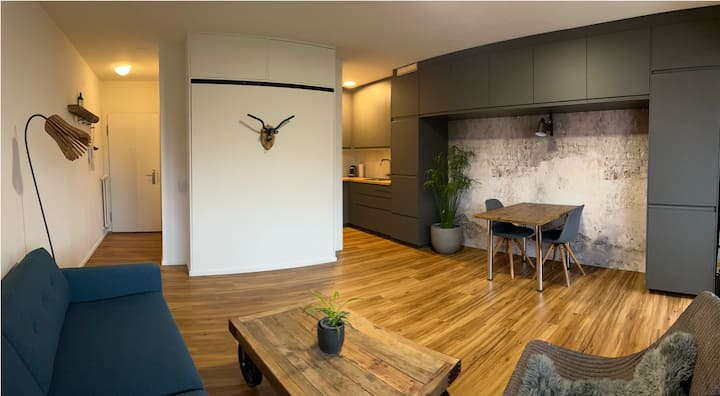 Stylish Studio W. Great Balcony - Losone