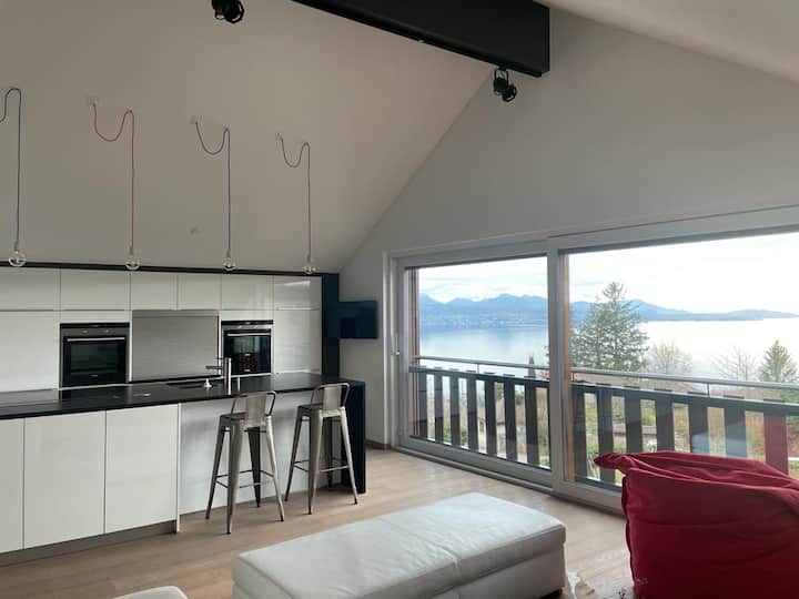 Chambre Dans Un Appart De Rêve - Lausanne