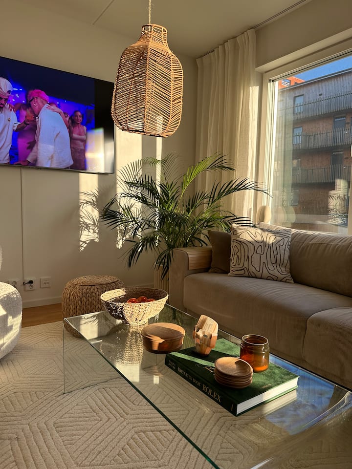 Nice Apartment Near Eurovision - Malmö