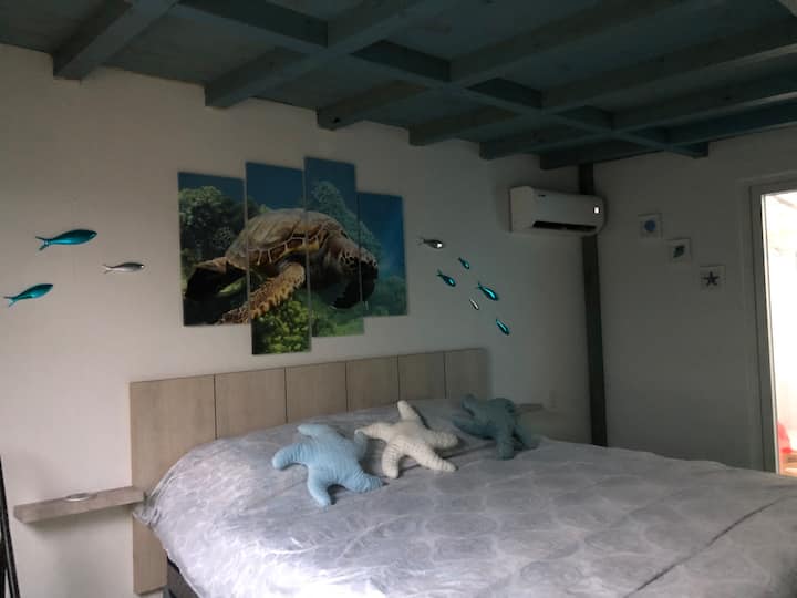 Aruba Local Stay - Aruba