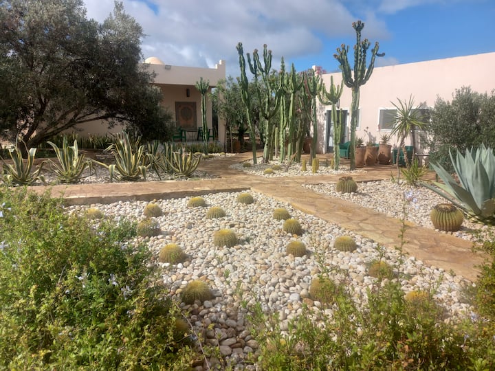 Villa Cactus Mogador - Essaouira