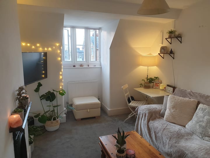 Central Windsor Boutique Top Floor Apartment - 슬라우