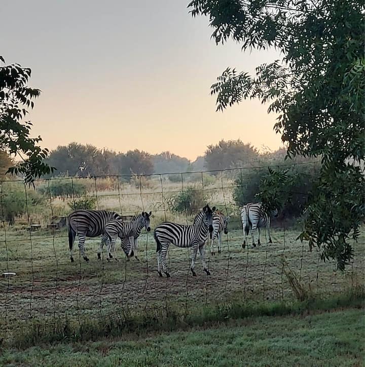 Farm Stay. Nature Walks. Historical Marvels. - Welkom