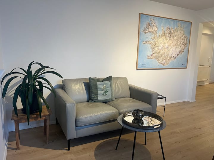 Cozy Apartment Near City Center & Private Parking - Reykjavík