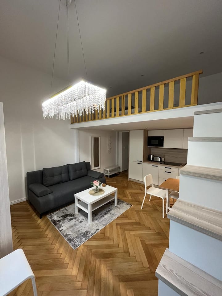 Unique Loft In Old Town - Bratislava