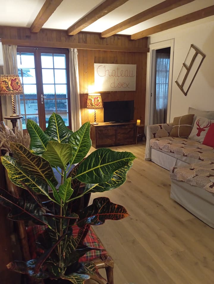 Cozy Flat In The Heart Of Alps - Gstaad