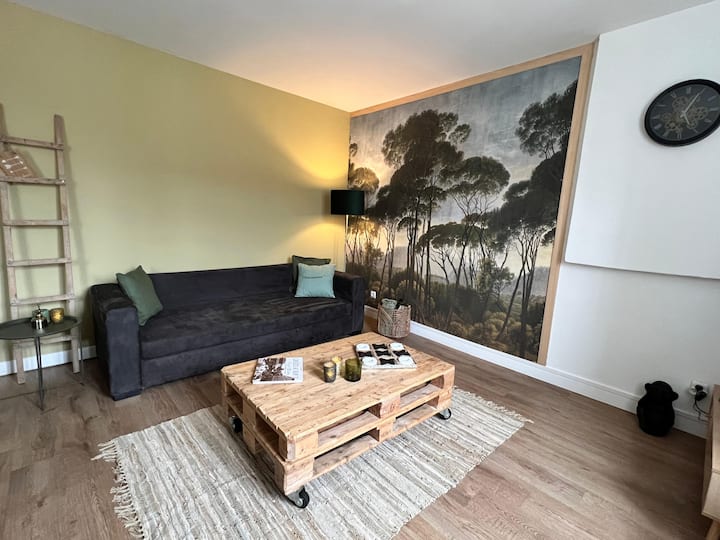 Le Bohol D'air | Apt Cosy Centre - ibis Chateauroux