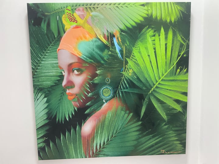 Cacau - Apartamento Climatizado - São Vicente