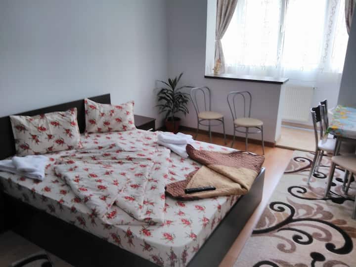 Apartament Octavian - Azuga