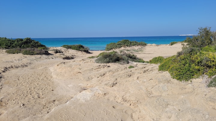 Appartamento Bilocale Sul Mare - Torre San Giovanni