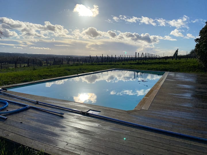 Un 2 Pièces Au Milieu Des Vignes - Sauternes