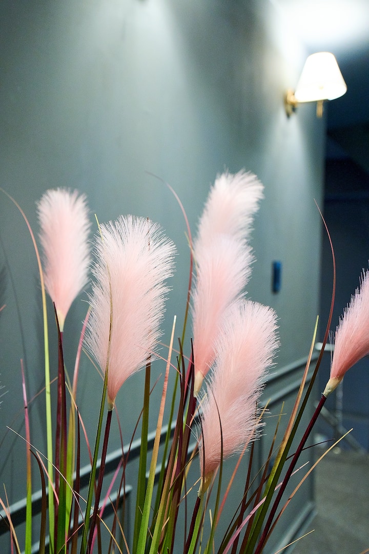 서래 라운지 트윈 No.2 - Seoul