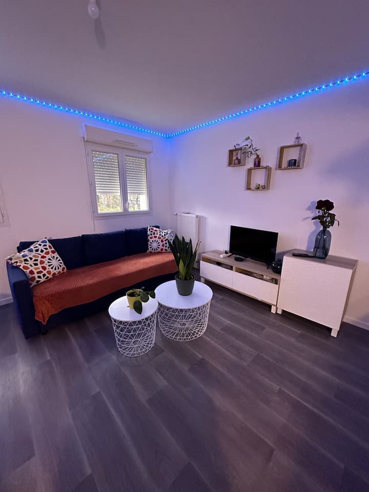 Appartement 1 Pièce Drancy - Les Lilas