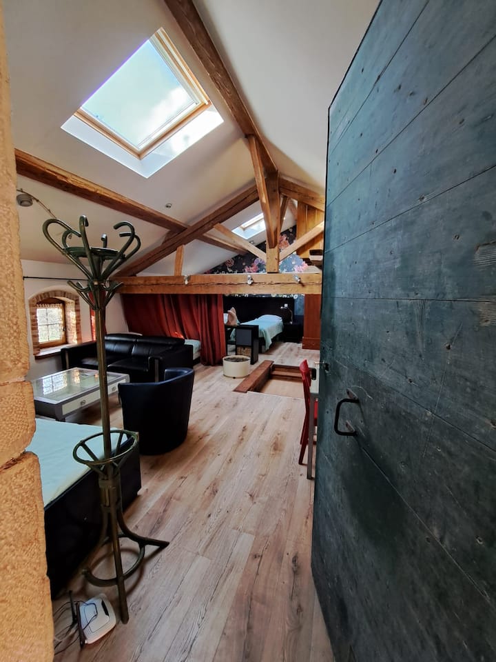 Loft 2 à 3 Pers, Proche De Lyon - Villette-d'Anthon