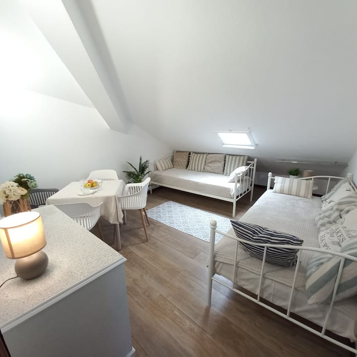 Apartamento Sótão Aveiro Centro - Torreira