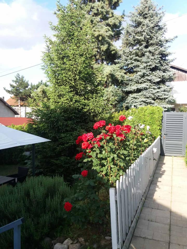 Vila Pogled - Novi Sad