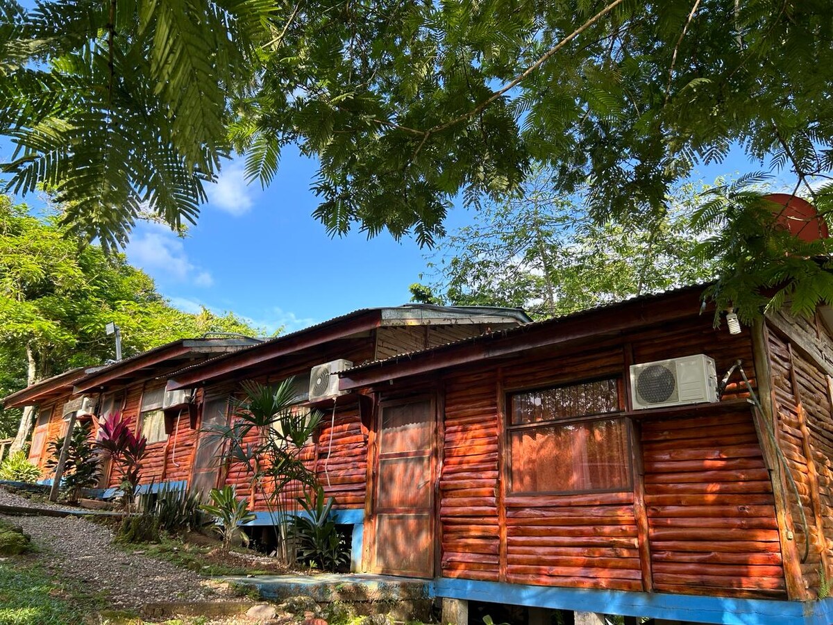 Bocuare Jungle Cabaña #4 - Cabañas en renta en Pandora, Limón, Costa ...