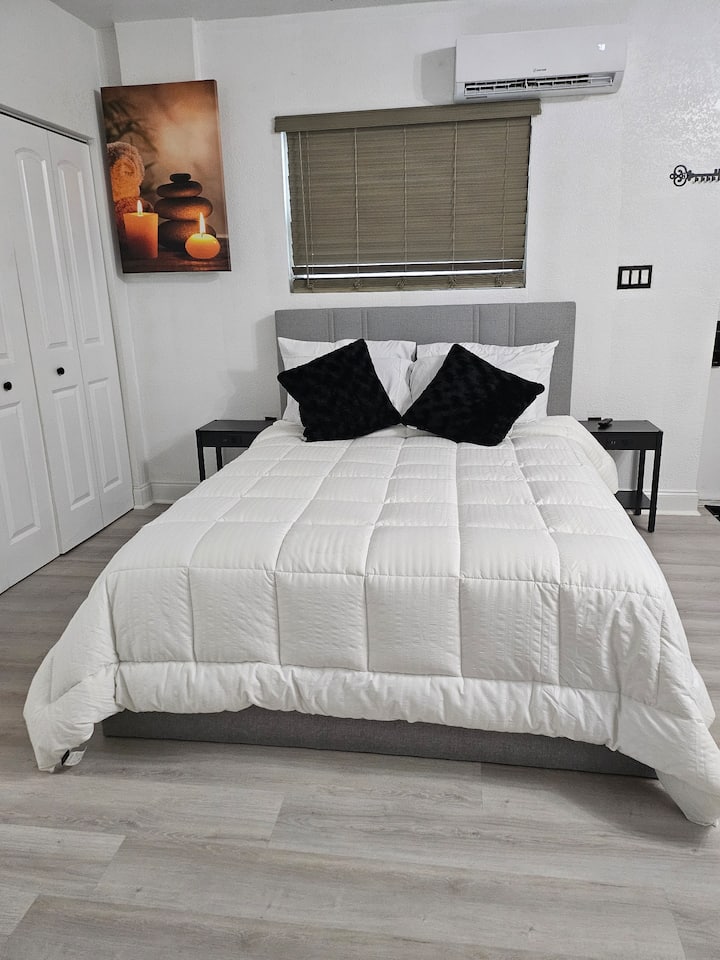 Stadium Zen Apartment - Davis Islands, FL