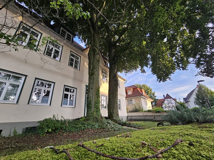 Fewo Kirmes Patrizierhaus Am Brauhaus Zwiebel - Bad Sassendorf