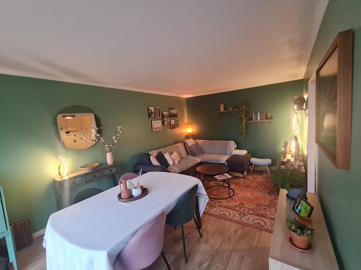 Chambre Lumineuse Et Calme - Massy