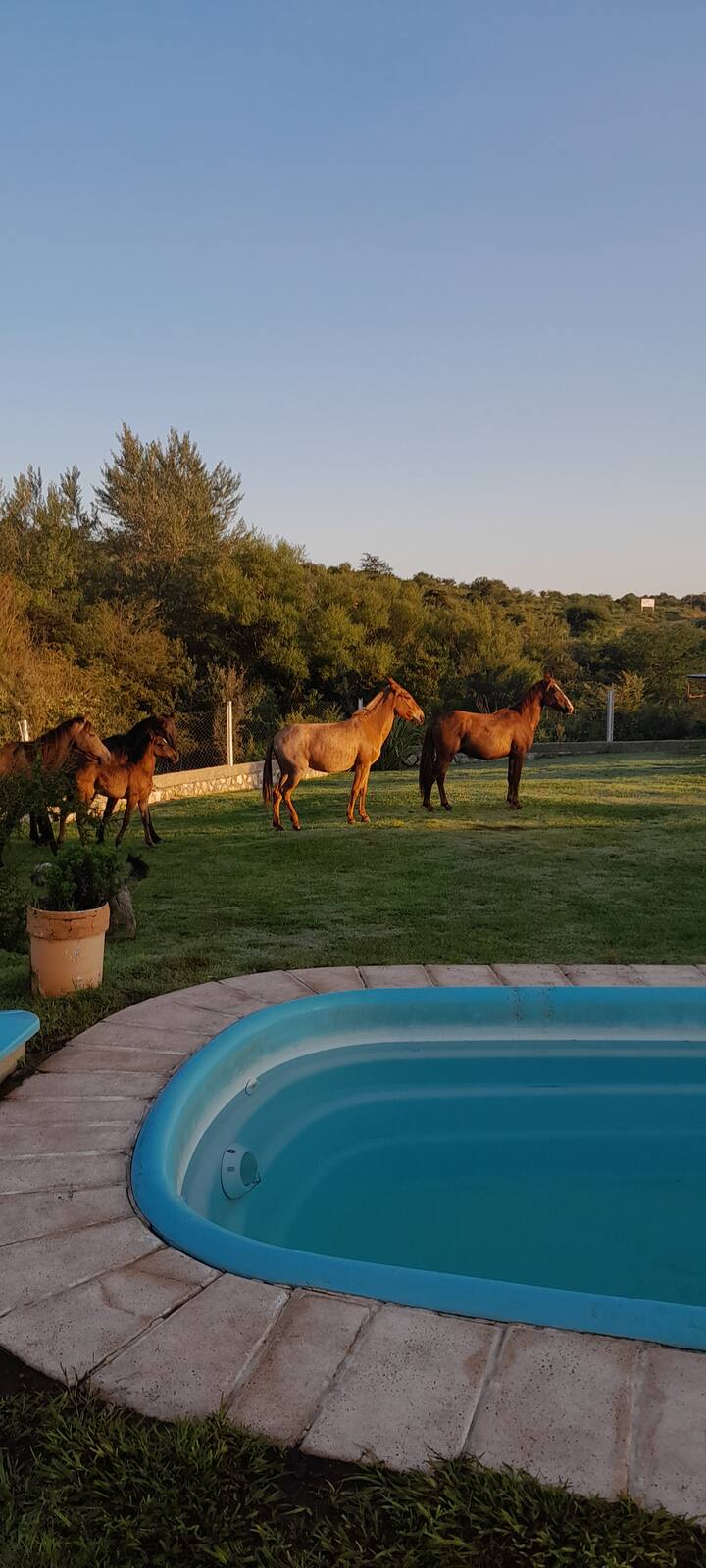 Cabañas La Araguaya - La Falda