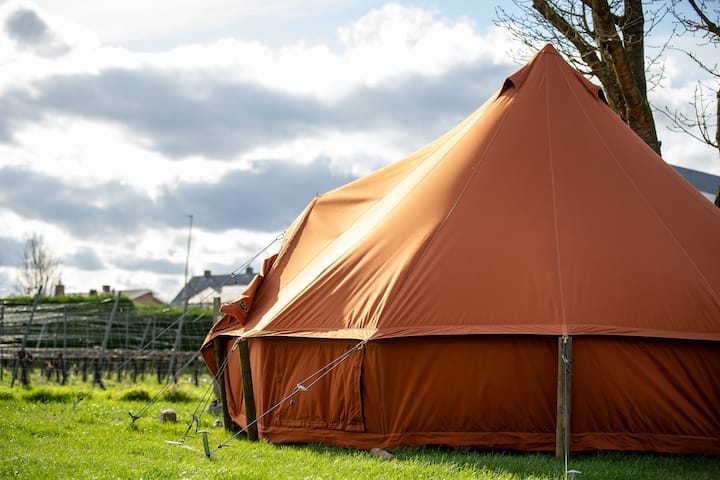 Camping De Boomgaard - Tente Cloche 2p - Maaseik