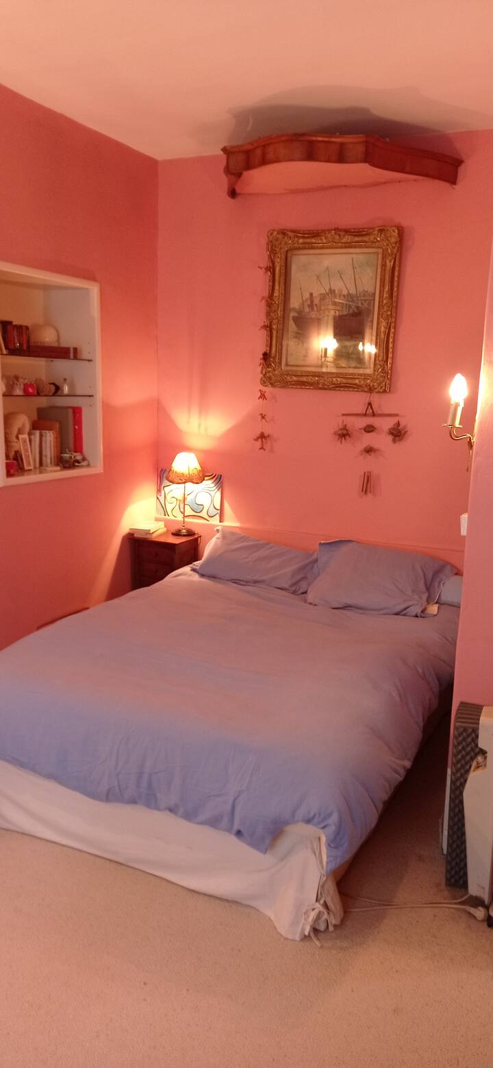 Chambre D'hôtes Plein Centre (2è Ch Possible) - Le Mans