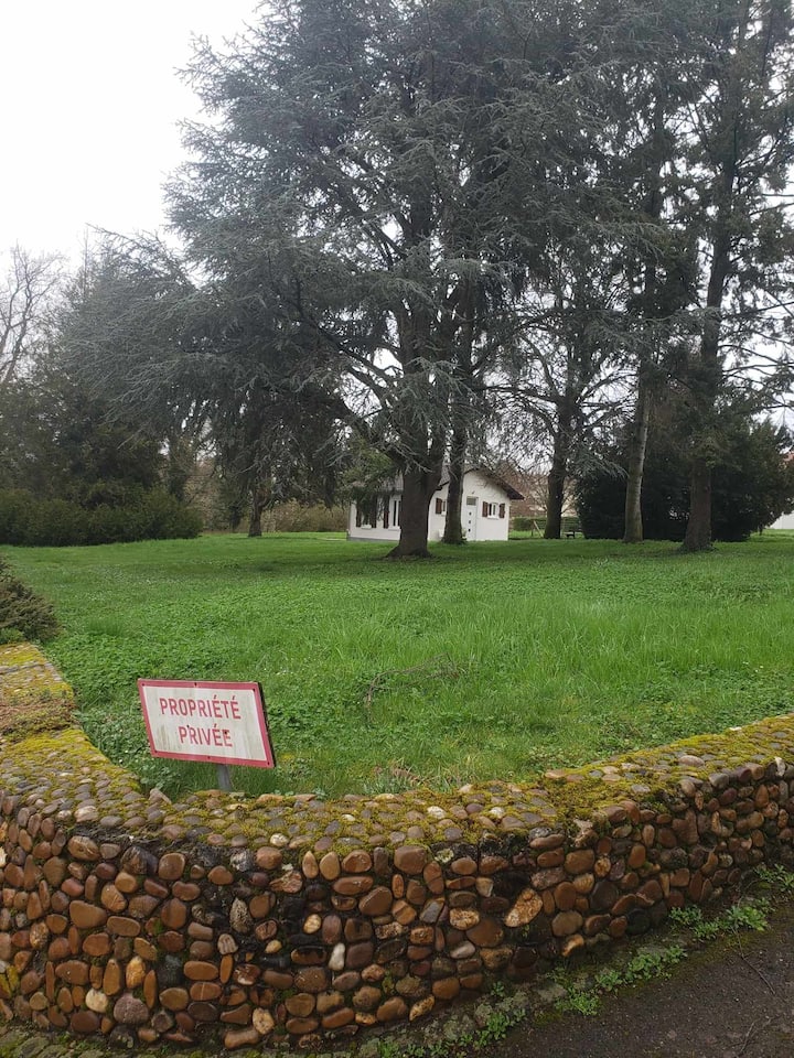 Gîte "La Maison Aux Pommes" - Metz