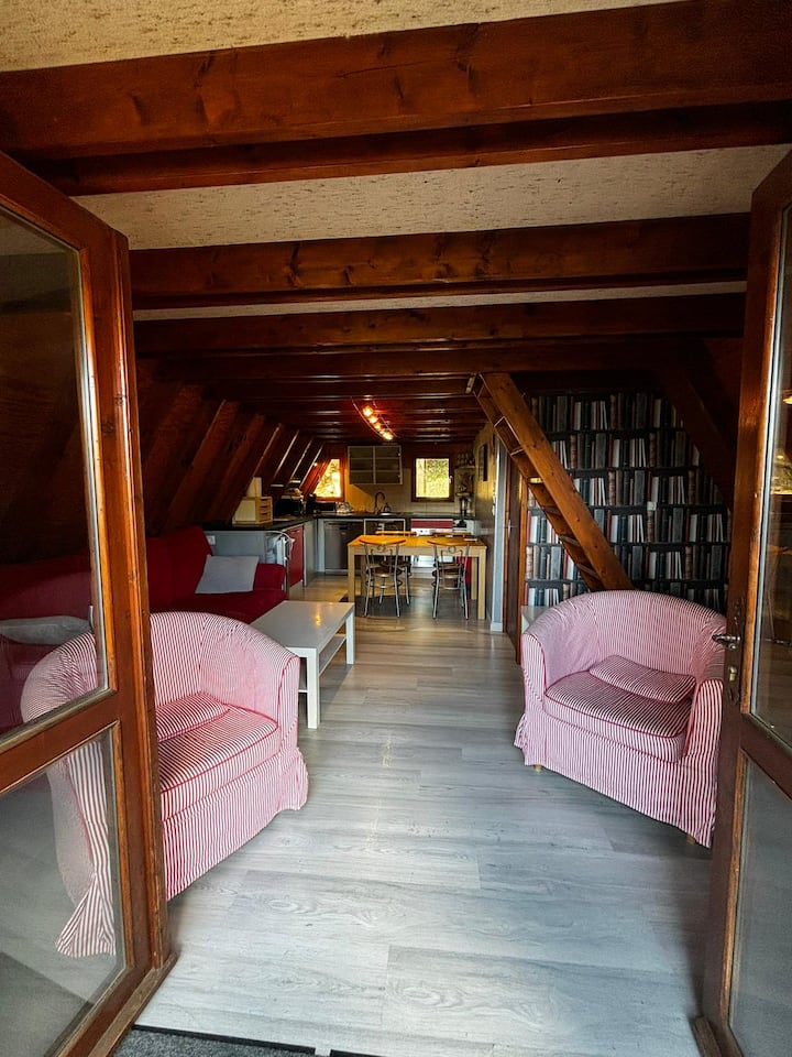Chalet De Montagne - Guzet-Neige