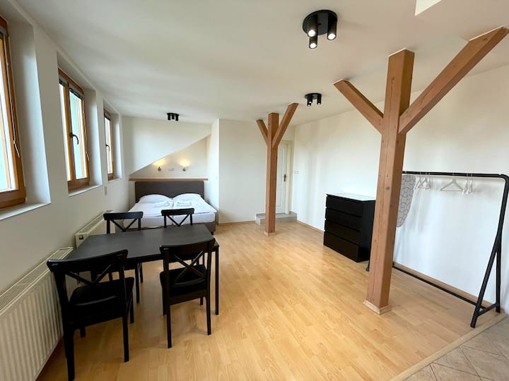Anglicka Downtown Studio Apt - Prague