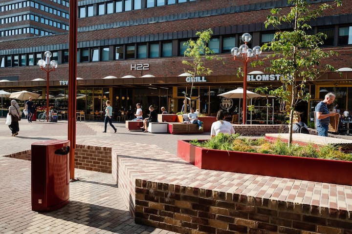 Velkommen Til Tøyen Torg - Oslo