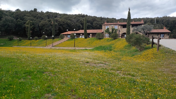 4-biketoscana Natura Relax Animali - Massa Marittima