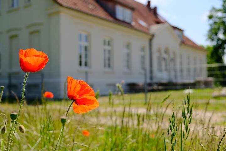 Ferienwohnung  "Warnemünde" Im Og - Schönberg