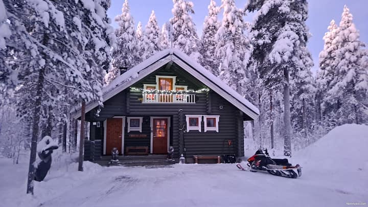 Near Levi Pine Cabin 92 Sqm - Finland