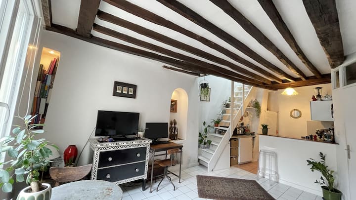 Charming 40m2 Notre-dame View Duplex - Paris