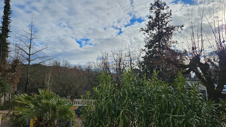 Grande Maison 9 Chambres Avec Terrasse Et Jardin - Castres
