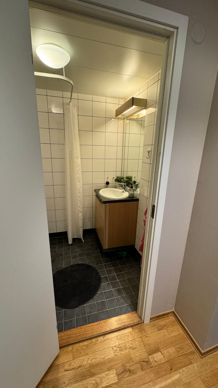 Liten, Koselig, Hybelleilighet: Tidlig Innsjekking - Oslo