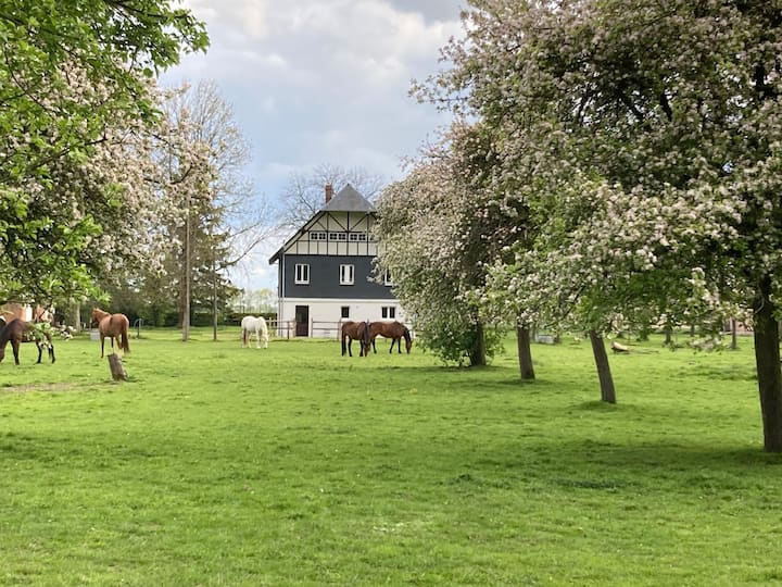 La Ferme Du Chateau - Bernay