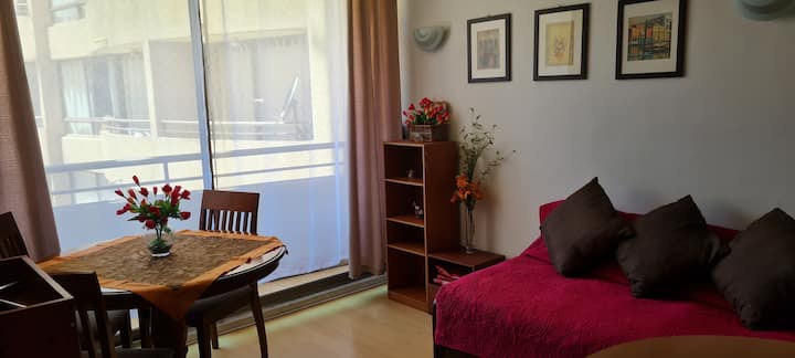 Departamento Central Moneda - Santiago