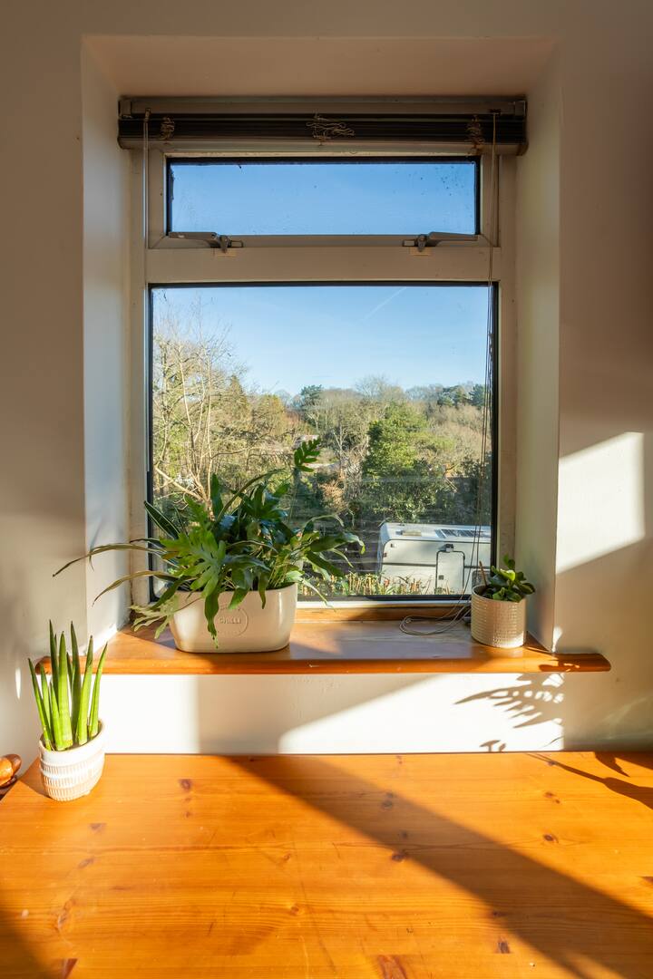 A Quiet Forest Attic Room Den* - Mudeford