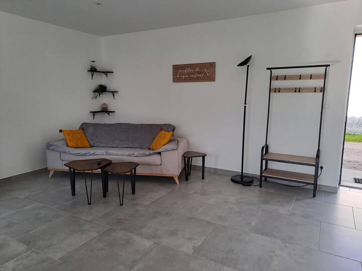 Gite Pmr Au Milieu Des Vignes - Lesparre-Médoc