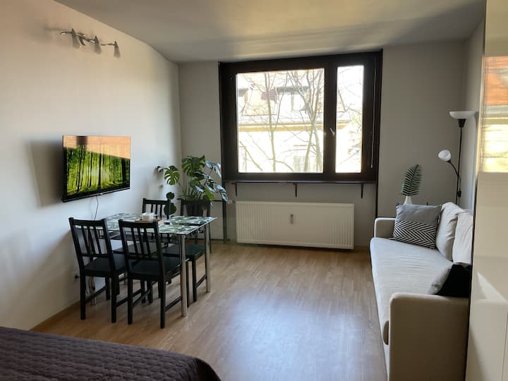 Apartment In Ljubljana Center - Ljubljana