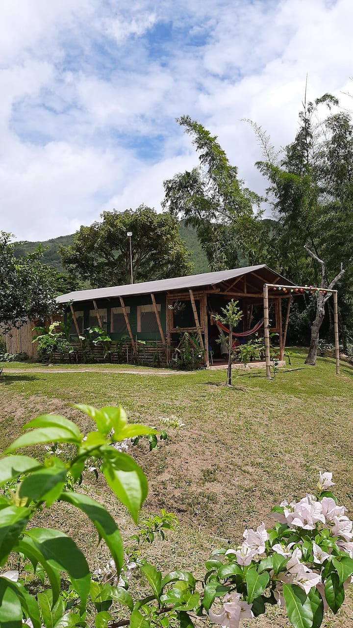 Martín Pescador - Guaduas