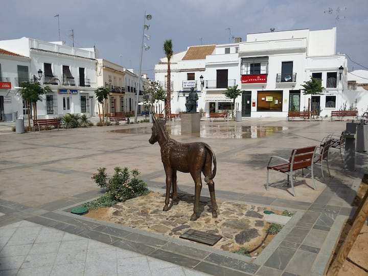 Piso Céntrico En Moguer (Huelva) - San Juan del Puerto
