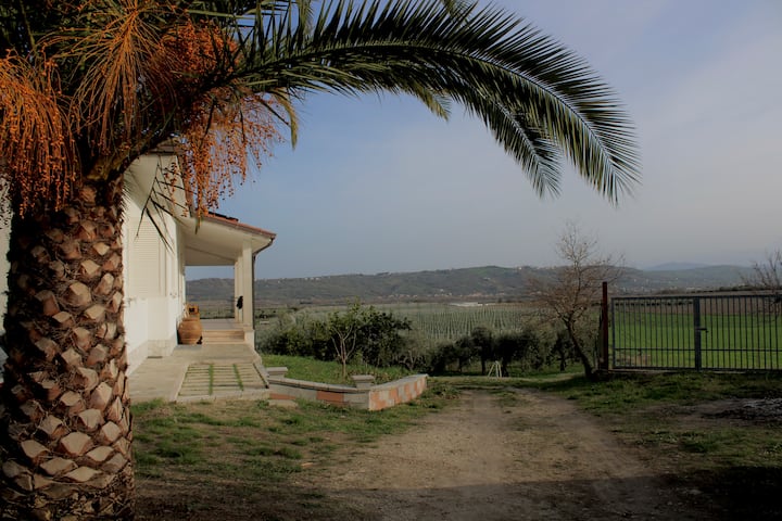 Tenuta Fattore - Fossacesia