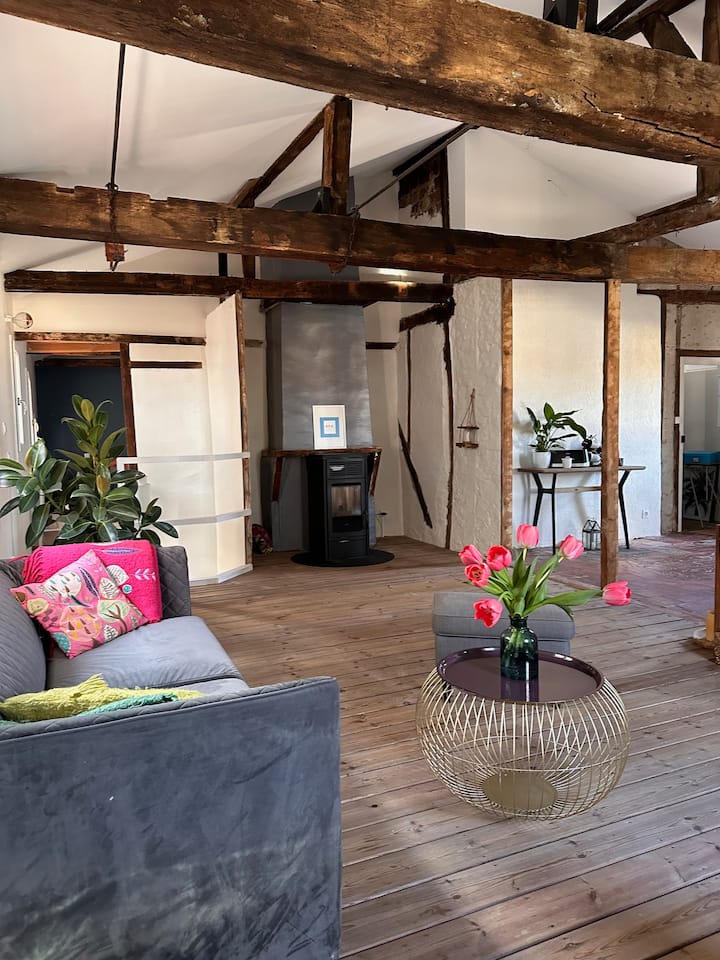 Loft De Charme à Mirepoix Avec Parking - Mirepoix