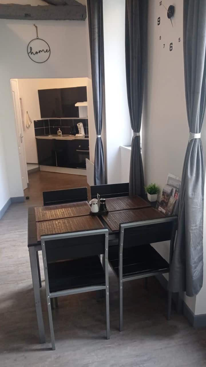 Appartement Cœur De Ville ! - Foix
